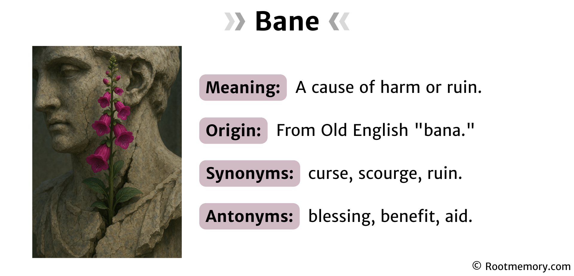 Bane - Root Memory