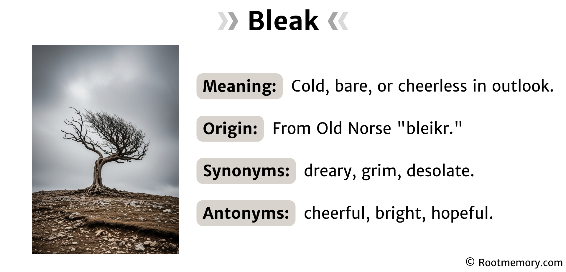 Bleak - Root Memory